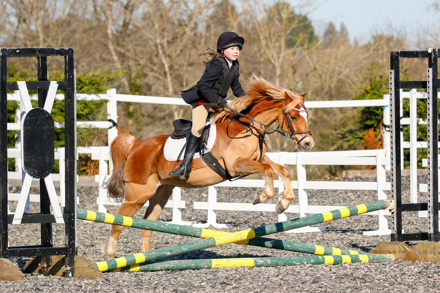 Event - Solihull Riding Club