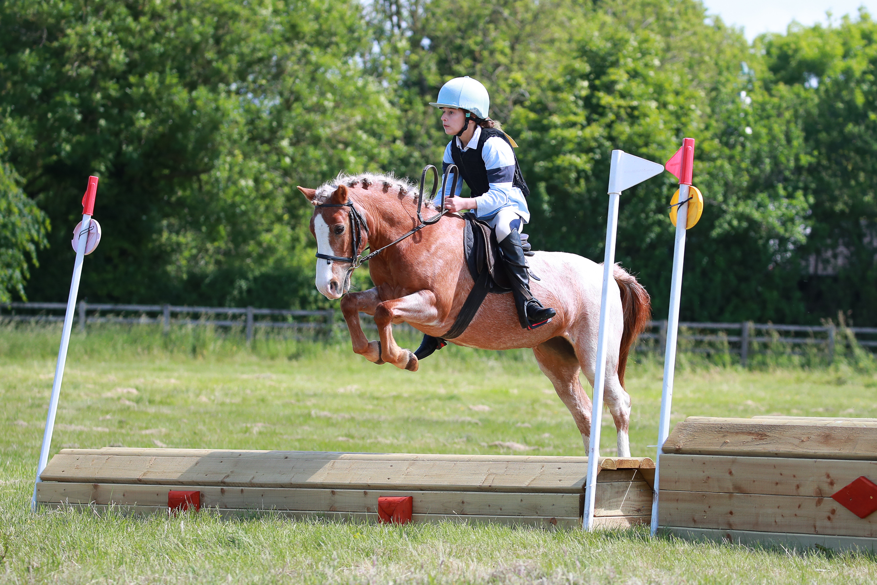 Event - Solihull Riding Club