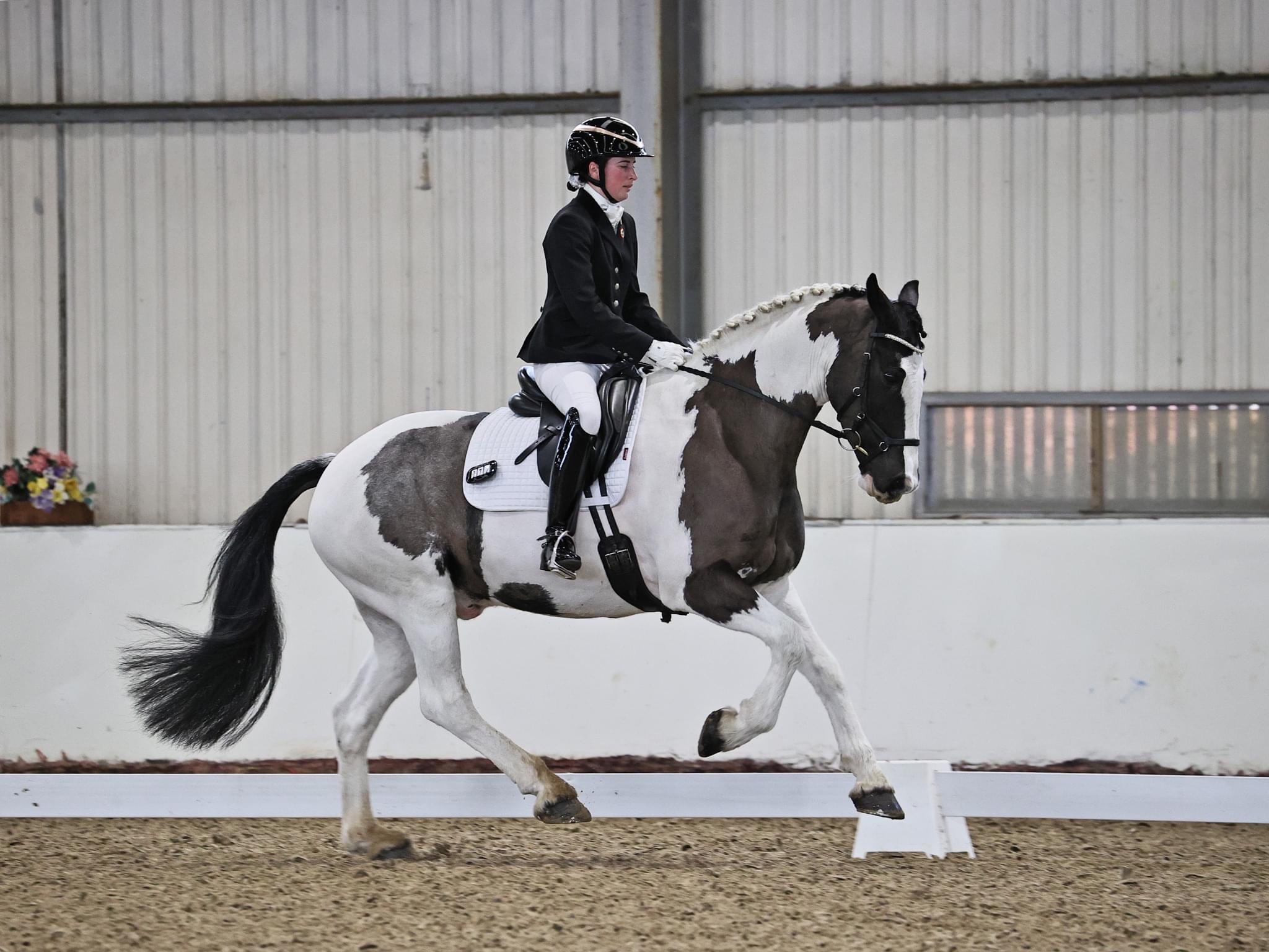 British Dressage - Solihull Riding Club