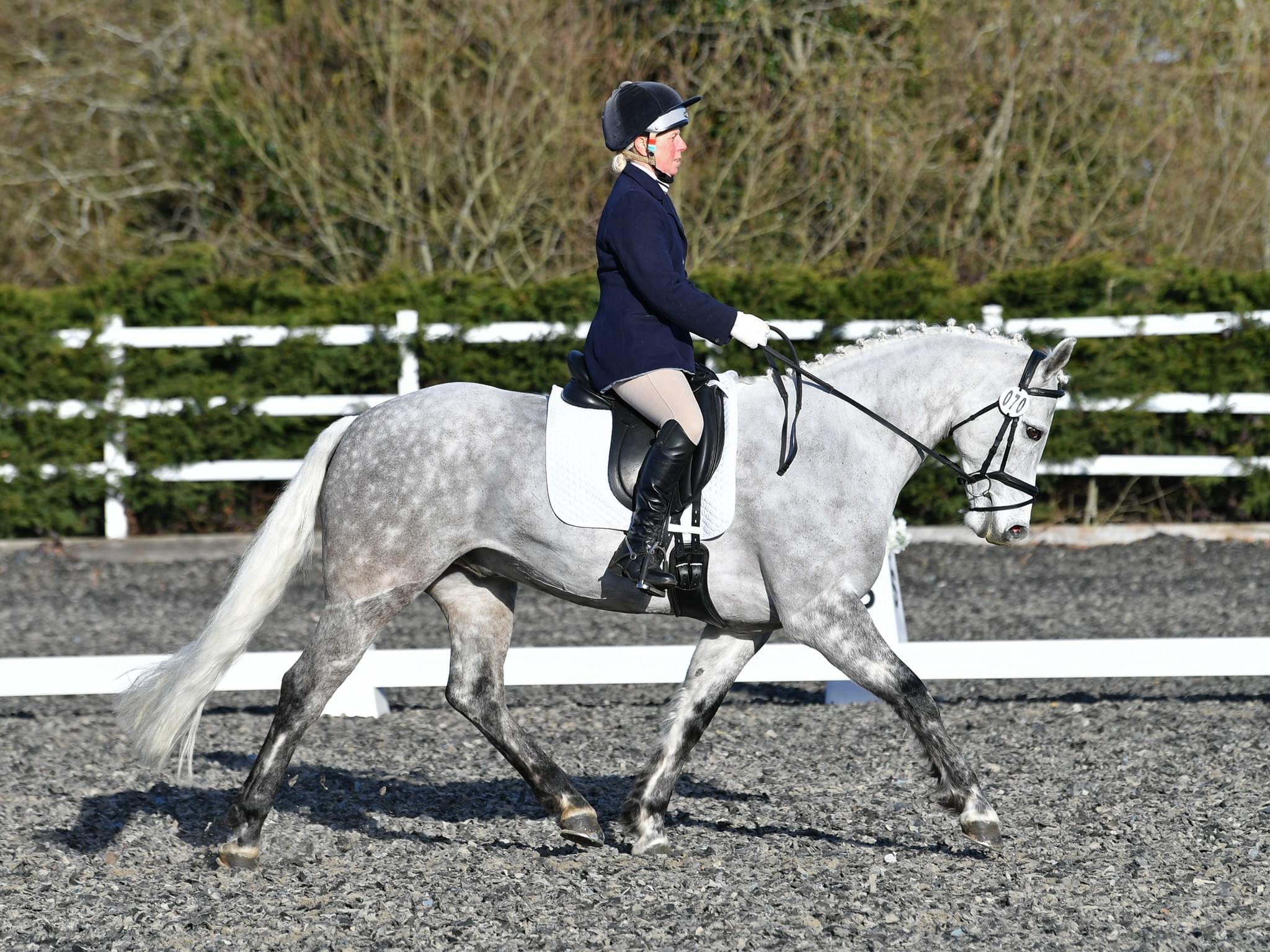 BD Combined Training - Solihull Riding Club