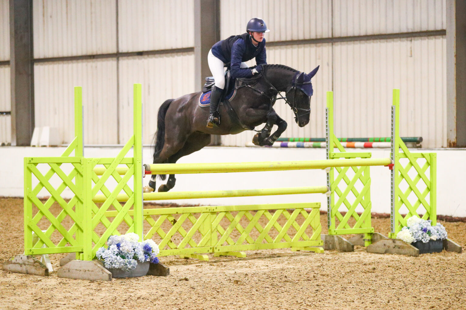 British Showjumping Three Day Show - Solihull Riding Club